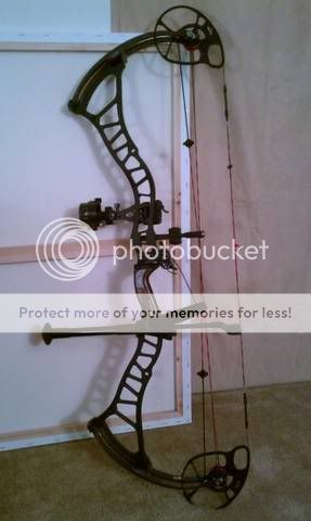 Pics of my new Bowtech Insanity CPXL | Archery Talk Forum