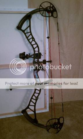 Pics of my new Bowtech Insanity CPXL | Archery Talk Forum